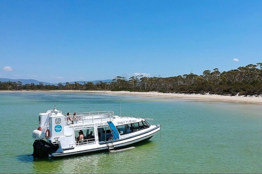 Triabunna: Maria Island and Ile Des Phoques Day Trip by Boat - What Makes It Stand Out