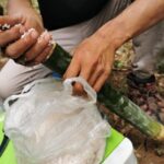 Tribal Cooking Class in Luang Prabang Forest and visit - The Culinary Experience: Dishes and Techniques