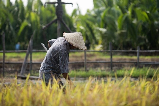 Tributaries and Rice: My Tho meets the Mekong - Authenticity and Value: What Reviewers Say