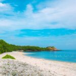 Trincomalee and Nilaveli beach Tour from Polonnaruwa - What Travelers Can Expect