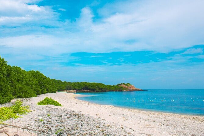 Trincomalee and Nilaveli beach Tour from Polonnaruwa - What Travelers Can Expect