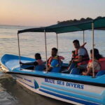 Trincomalee: Whales & Dolphin Watching Tours - The Itinerary: What You Can Expect
