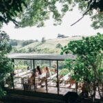 Tropical Fruit World Farm Full Tour - What Makes This Tour Stand Out?