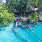 Tropical Splash Tour - Why This Tour Stands Out