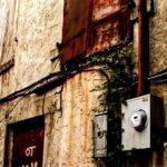 True Crime Tour of Wilmington - Practical Considerations for Travelers