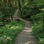 Tryon Creek Eco-tour With a Master Naturalist - Practicalities and Tips