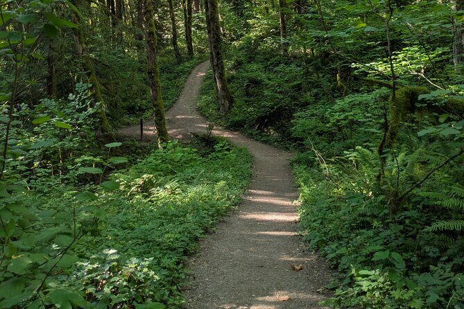 Tryon Creek Eco-tour With a Master Naturalist - Practicalities and Tips