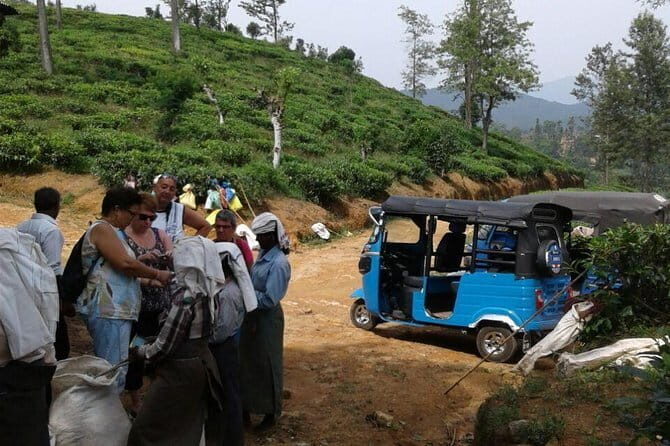 TukTuk Safari in Tea & Spice plantation,View Points,Upper Diyaluma WaterFalls, - Why This Tour Offers Great Value