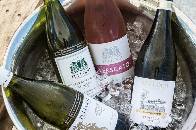 Tulloch Wines Hunter Heroes Wine Tasting with Local Cheese & Charcuterie Board - The Experience From the Traveler’s View