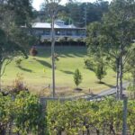 Tulloch Wines- Tasting of 6 Pokolbin Dry Red Shiraz Vintages with Charcuterie - Kid and Teen Options: Making It a Family Affair
