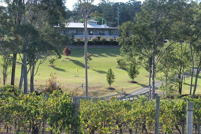 Tulloch Wines- Tasting of 6 Pokolbin Dry Red Shiraz Vintages with Charcuterie - Kid and Teen Options: Making It a Family Affair