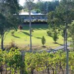 Tulloch Wines - Wine Tasting paired with Local Handmade Chocolates - Final Thoughts