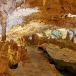 Tulum: Akumal Turtles and Underground Cenote Swim Tour - What This Tour Means for Travelers