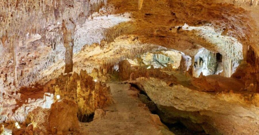 Tulum: Akumal Turtles and Underground Cenote Swim Tour - What This Tour Means for Travelers