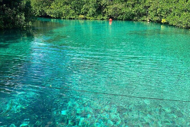 Tulum Area Experiences 2 Tank Guided Scuba Dives at Dos Ojos Cenote's + Lunch - The Transport and Group Size