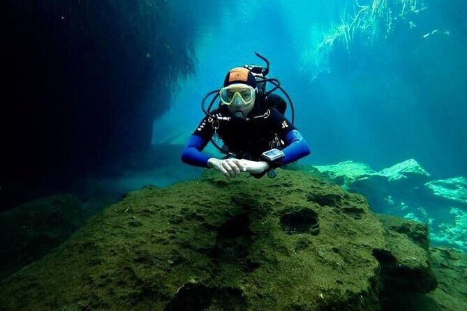 Tulum Area Experiences "Try" Scuba Diving Casa Cenote - Snacks - No experience - What to Expect: A Step-by-Step Breakdown
