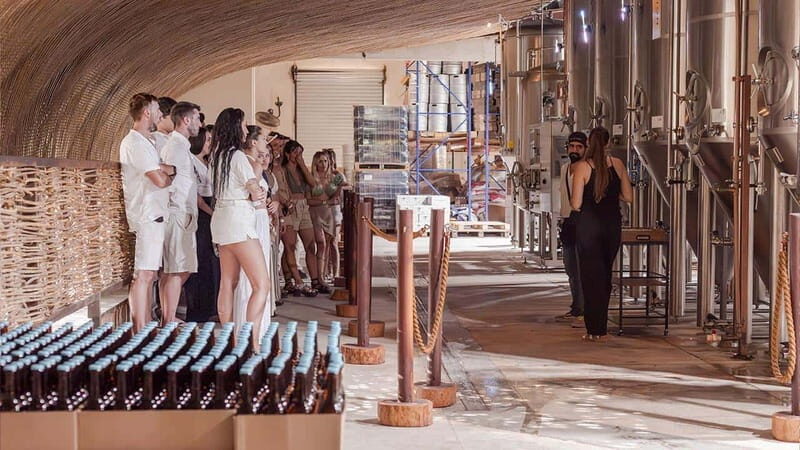 Tulum beer school, brews & bites and visit to beer fabric - Why This Tour Works for Travelers