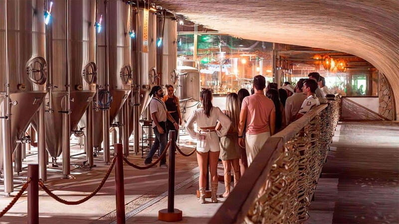 Tulum Beer Tasting Brewery Tour Beer School & Transportation - The Overall Experience: What Travelers Are Saying