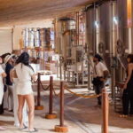 Tulum Brewery Tour and Brews & Bites - What to Expect from the Tour