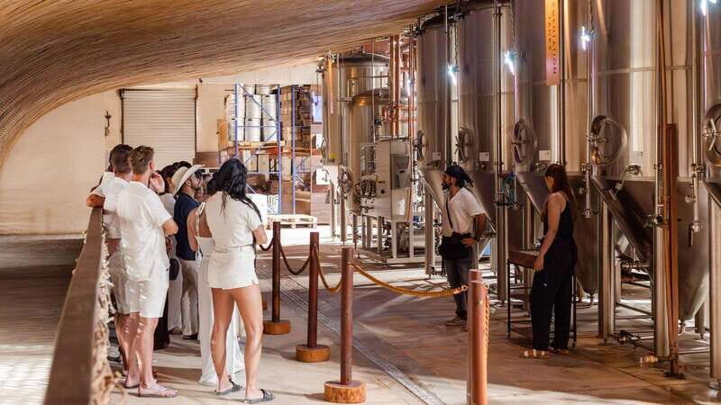Tulum Brewery Tour and Brews & Bites - What to Expect from the Tour