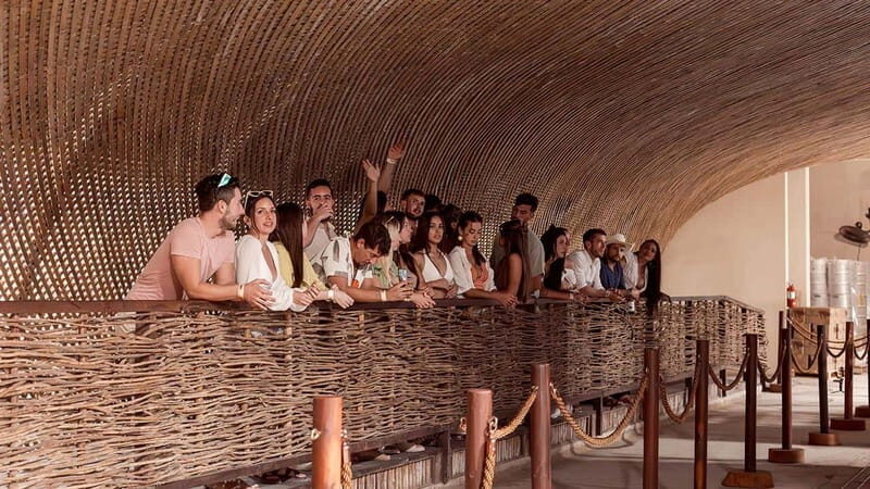 Tulum Brewery Tour & Beer Flight (Tasting Craft Beer) - How It Fits Into a Tulum Trip