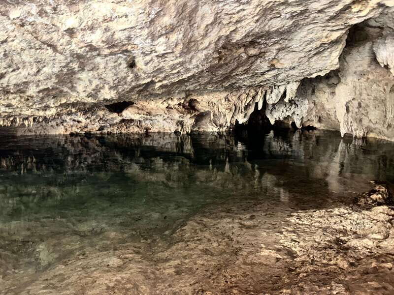 Tulum: Cenotes Tour with Snorkeling and Lunch - Is This Tour Worth The Price?