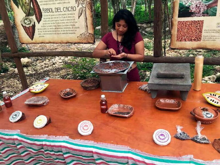 Tulum: Chocolate & Honey Sanctuary Experience with Lunch - What Makes This Tour Stand Out