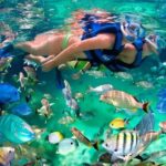 Tulum Coba Akumal Snorkel tour Premium Service Small Group - A Complete Look at the Tour Experience