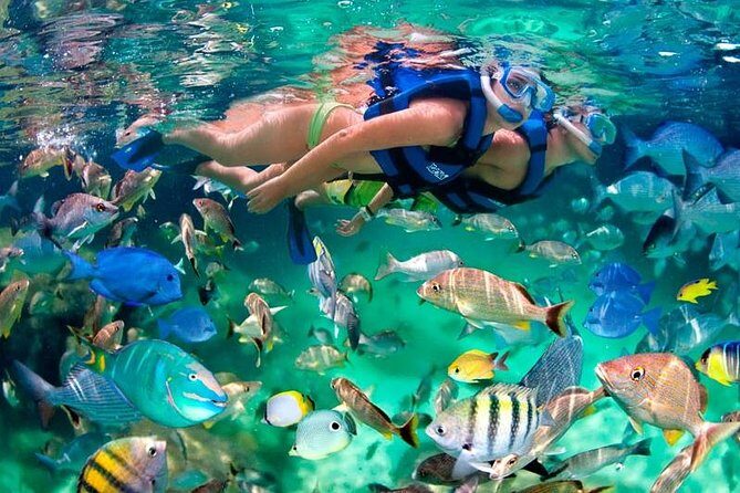 Tulum Coba Akumal Snorkel tour Premium Service Small Group - A Complete Look at the Tour Experience