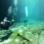 Tulum: Discover Scuba Diving in Cenotes - The Itinerary: What to Expect