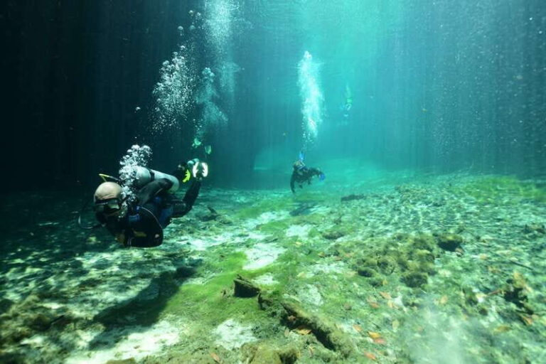 Tulum: Discover Scuba Diving in Cenotes - The Itinerary: What to Expect