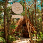 Tulum: Floating Breakfast in The Yellow Nest (Day Pass) - The Itinerary Breakdown: What You Can Expect