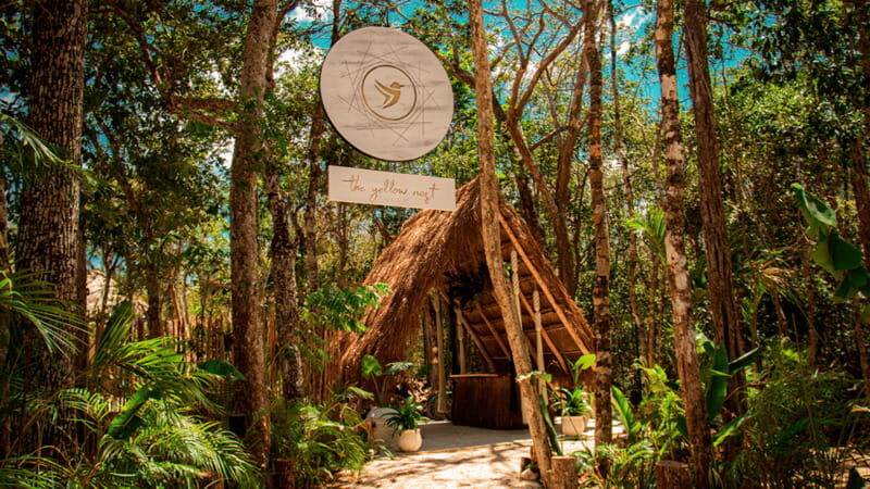 Tulum: Floating Breakfast in The Yellow Nest (Day Pass) - The Itinerary Breakdown: What You Can Expect