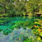 Tulum: Half-Day Adventure Zip line Cenote in Mayan Community - What the Reviews Say