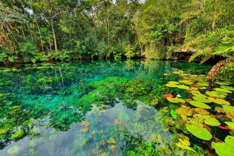 Tulum: Half-Day Adventure Zip line Cenote in Mayan Community - What the Reviews Say