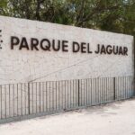 Tulum Mayan Ruins + Shopping Tour + Tulum Jaguar Park - Practical Considerations