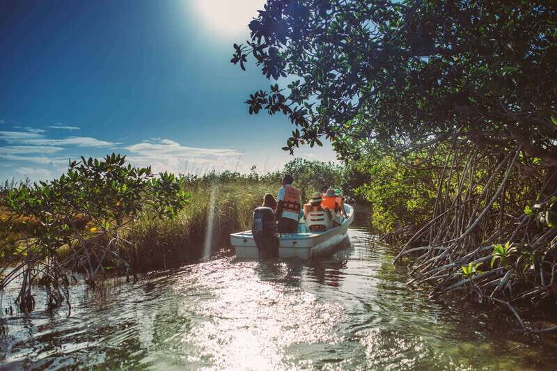 Tulum: Mayan Ruins & Sian Kaan Tour with Boat Ride and Lunch - What to Expect: The Day’s Breakdown