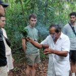 Tulum Monkey Sanctuary Tour Punta Laguna - What Past Travelers Say