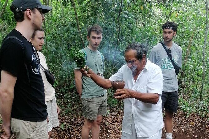 Tulum Monkey Sanctuary Tour Punta Laguna - What Past Travelers Say
