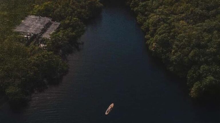 Tulum: Pargo Restaurant Cenote Dining Experience - Who Should Consider This Tour?