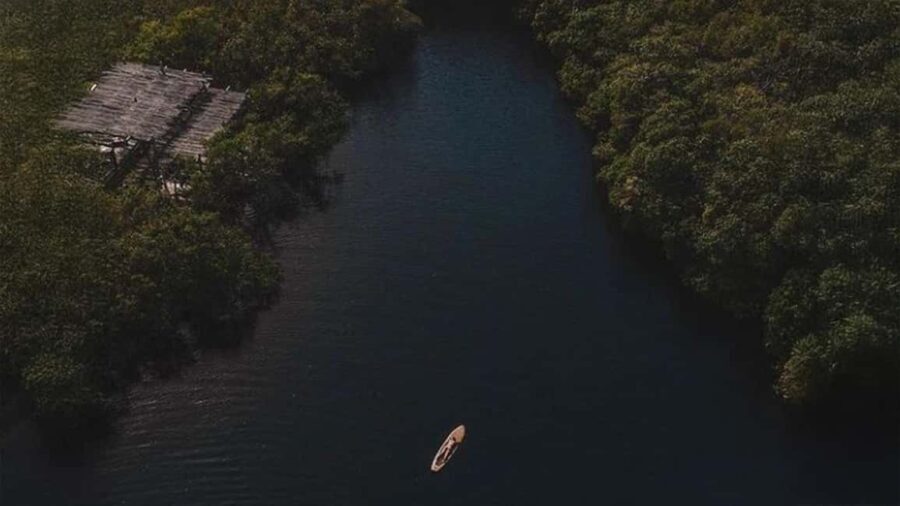 Tulum: Pargo Restaurant Cenote Dining Experience - Who Should Consider This Tour?