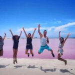 Tulum: Pink Lake, Rio Lagartos, Crocodile Flamingo Adventure - An In-Depth Look at the Tour