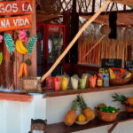 Tulum: Raw Honey & Chocolate Tour with Vegan Lunch & Cenote - An In-Depth Look at the Tour Experience