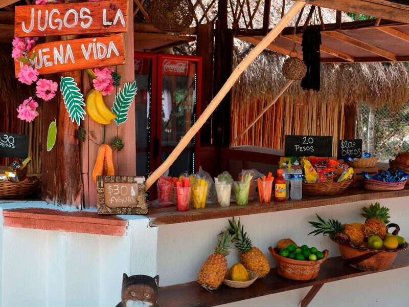 Tulum: Raw Honey & Chocolate Tour with Vegan Lunch & Cenote - An In-Depth Look at the Tour Experience
