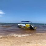 Tulum: Reef Snorkel Tour - How the Tour is Structured