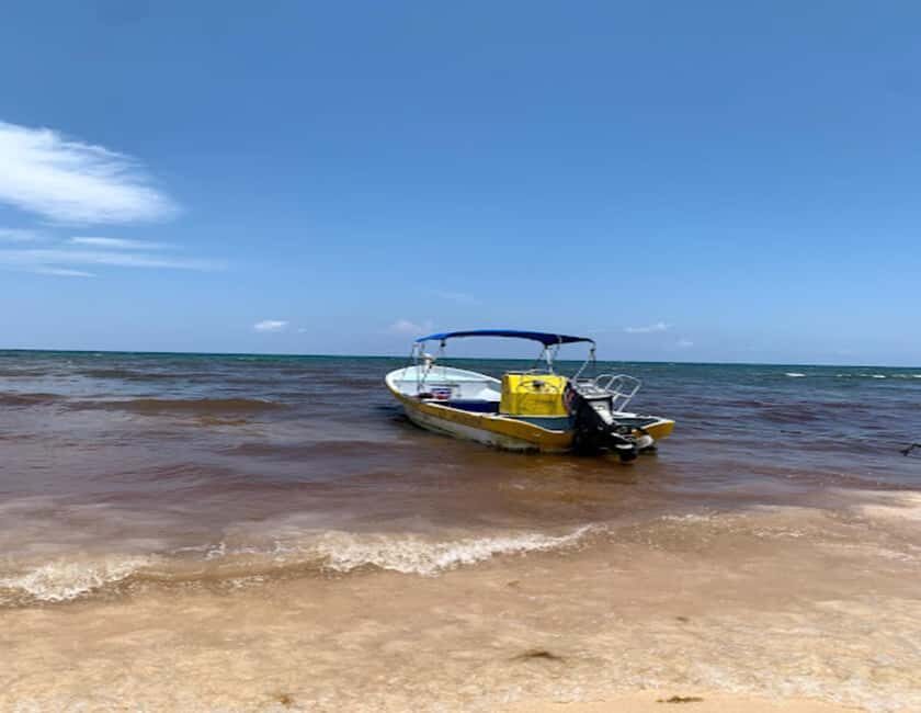 Tulum: Reef Snorkel Tour - How the Tour is Structured
