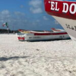 Tulum: Ruins by Boat, Swim with Turtles & Cenote Tour - The Cenotes: Swimming in the Lands Hidden Water Gems