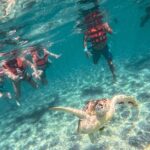 Tulum Ruins, Sea Turtles & Cenote Snorkeling Adventure Tour - Who Will Love This Tour?