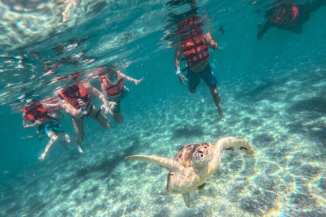 Tulum Ruins, Sea Turtles & Cenote Snorkeling Adventure Tour - Who Will Love This Tour?