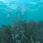 Tulum ruins swim with turtles in Akumal and Cenote - Potential Considerations for Travelers